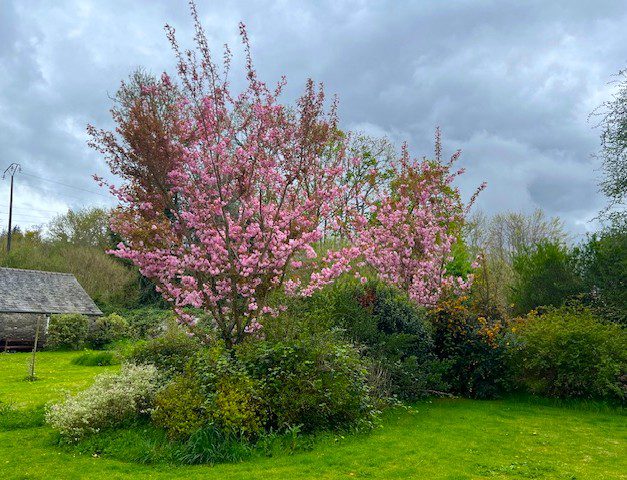 Sunday 13 April – Field of Dreams | Kergudon